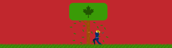 What Is a Maple Bond? - Financial Pipeline