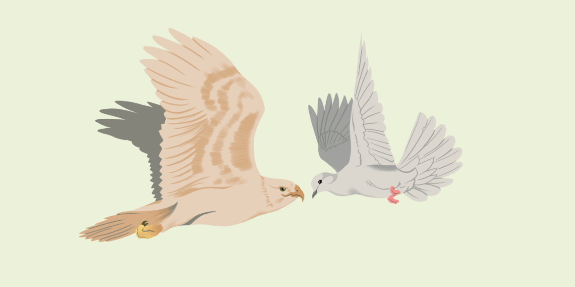 What is meant by dovish and hawkish monetary policy?