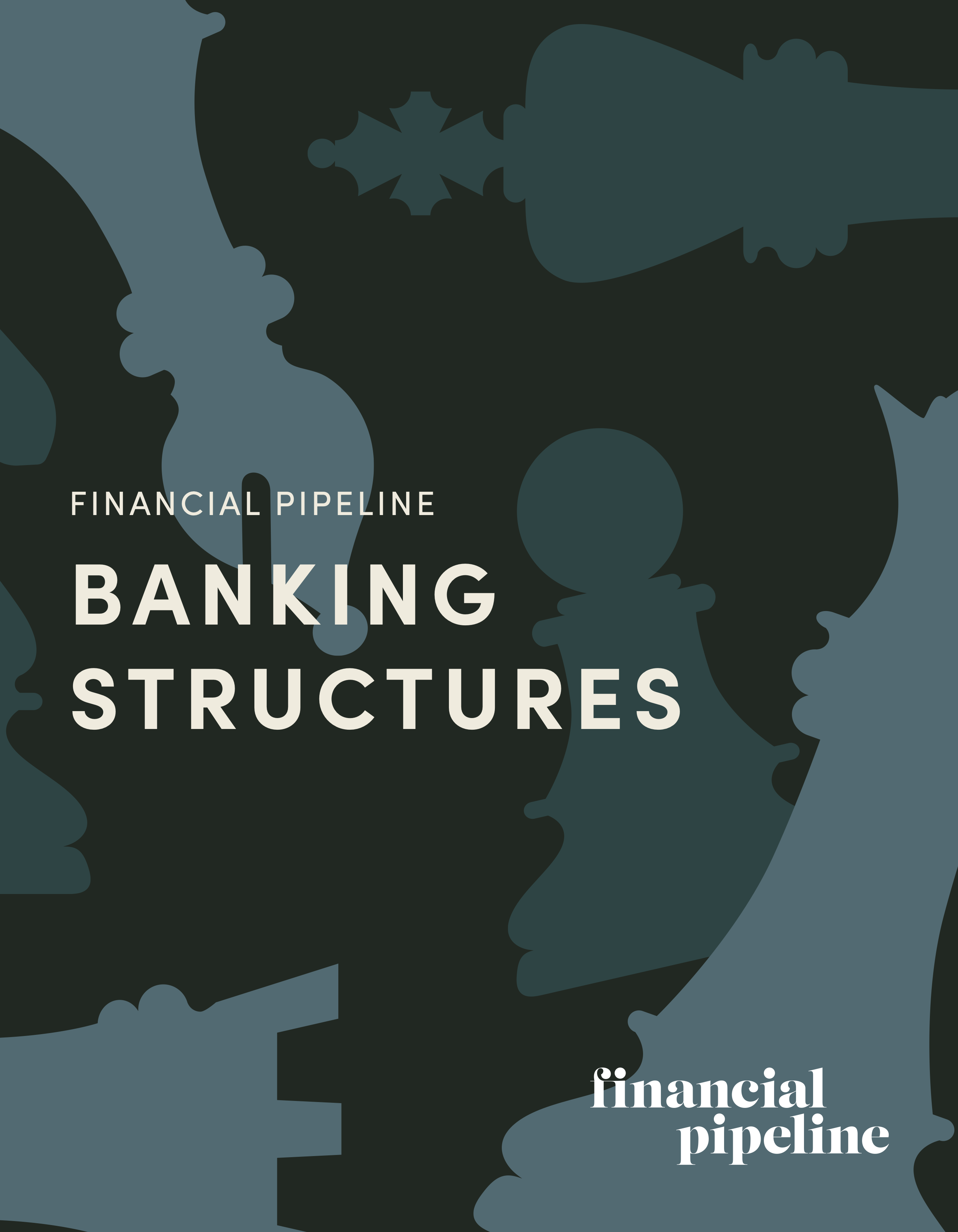 Banking Structures Workbook